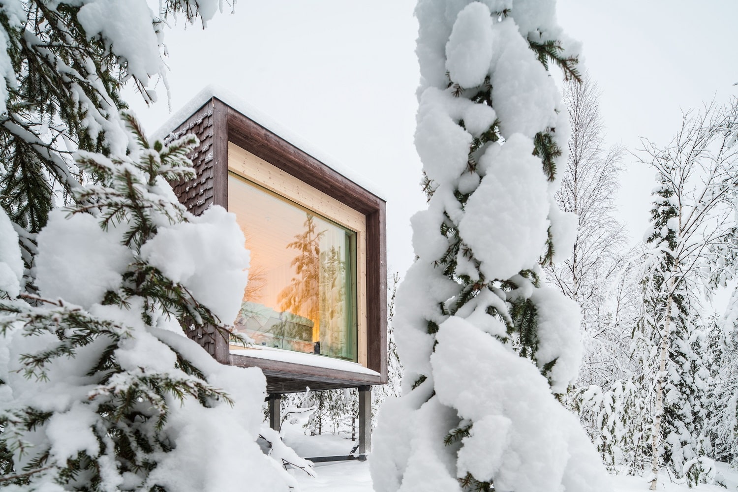 Arctic TreeHouse - Arts and Leisure