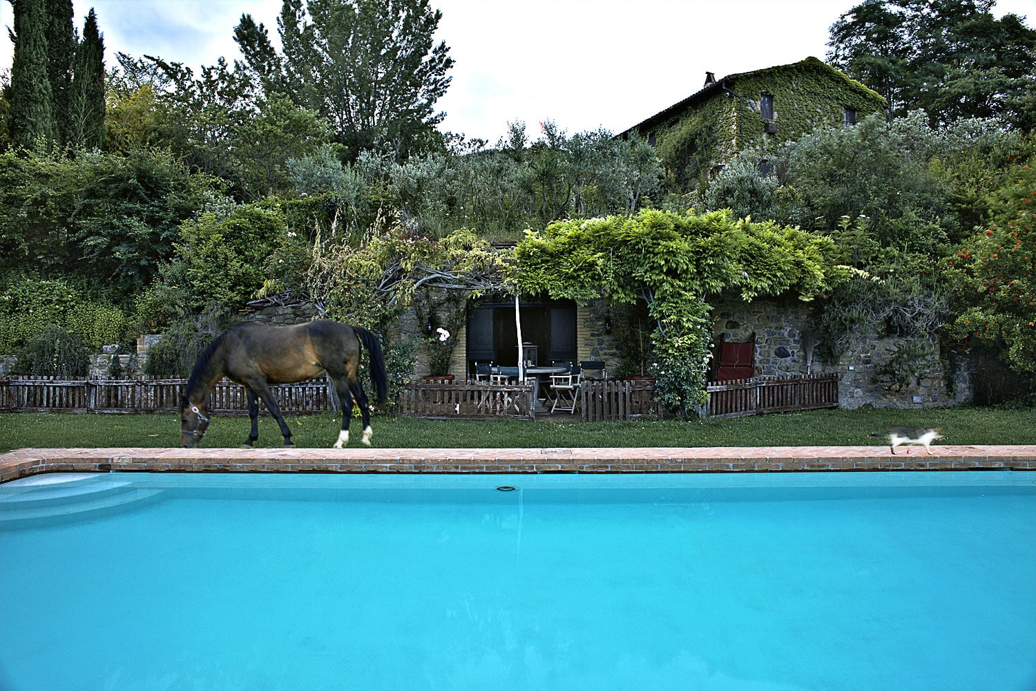 Villa Umbria 14 — Guests: 18 / Bdr: 8 / Bth: 8 - Arts and Leisure